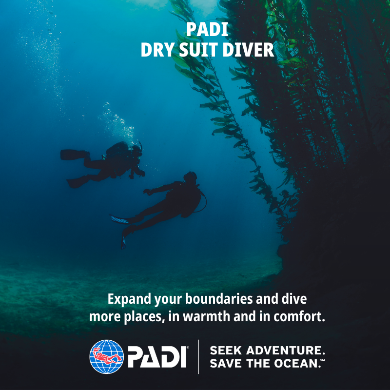 Scuba Diving Courses | Robin Hood Watersports | Robin Hood Watersports