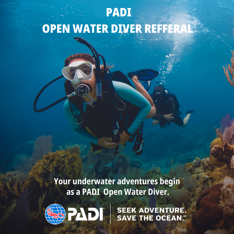 Scuba Diving Courses | Robin Hood Watersports | Robin Hood Watersports